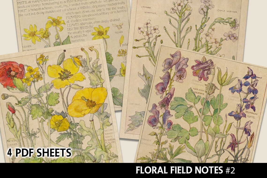 Digital Scrapbook Paper Flower Printable Paper Set Junk - Etsy