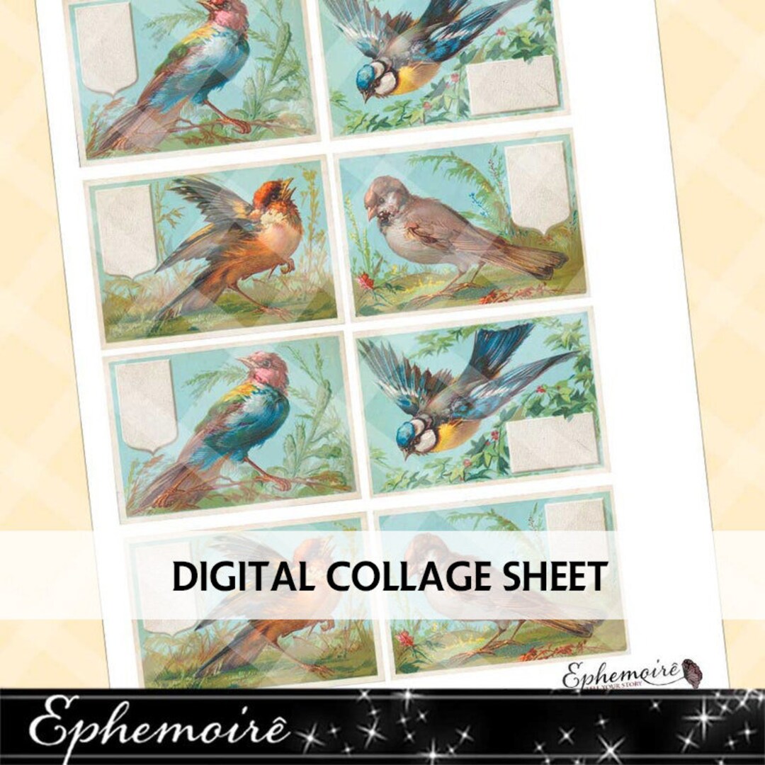 Junk Journal Printable - BIRD TRADING CARDS - Digital Scrapbook - Fussy ...