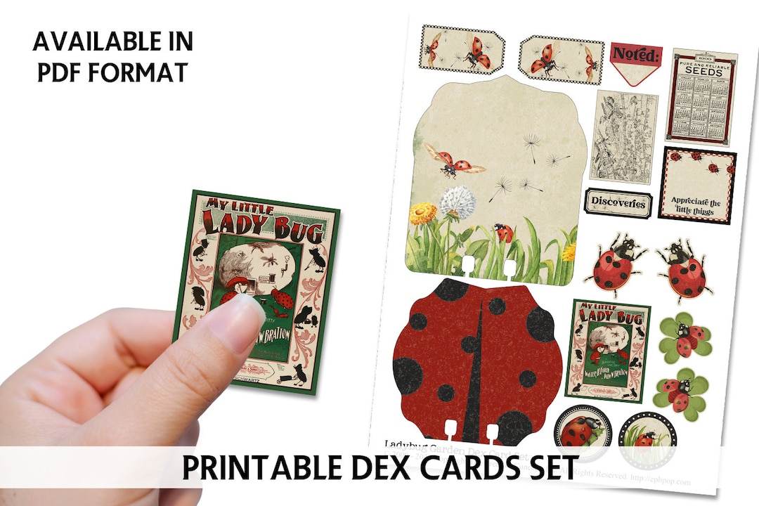 Printable Dex Cards With Ephemera - LADYBUG - Dex Card Printable ...