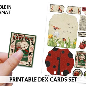 Printable Dex Cards With Ephemera - LADYBUG - Dex Card Printable ...