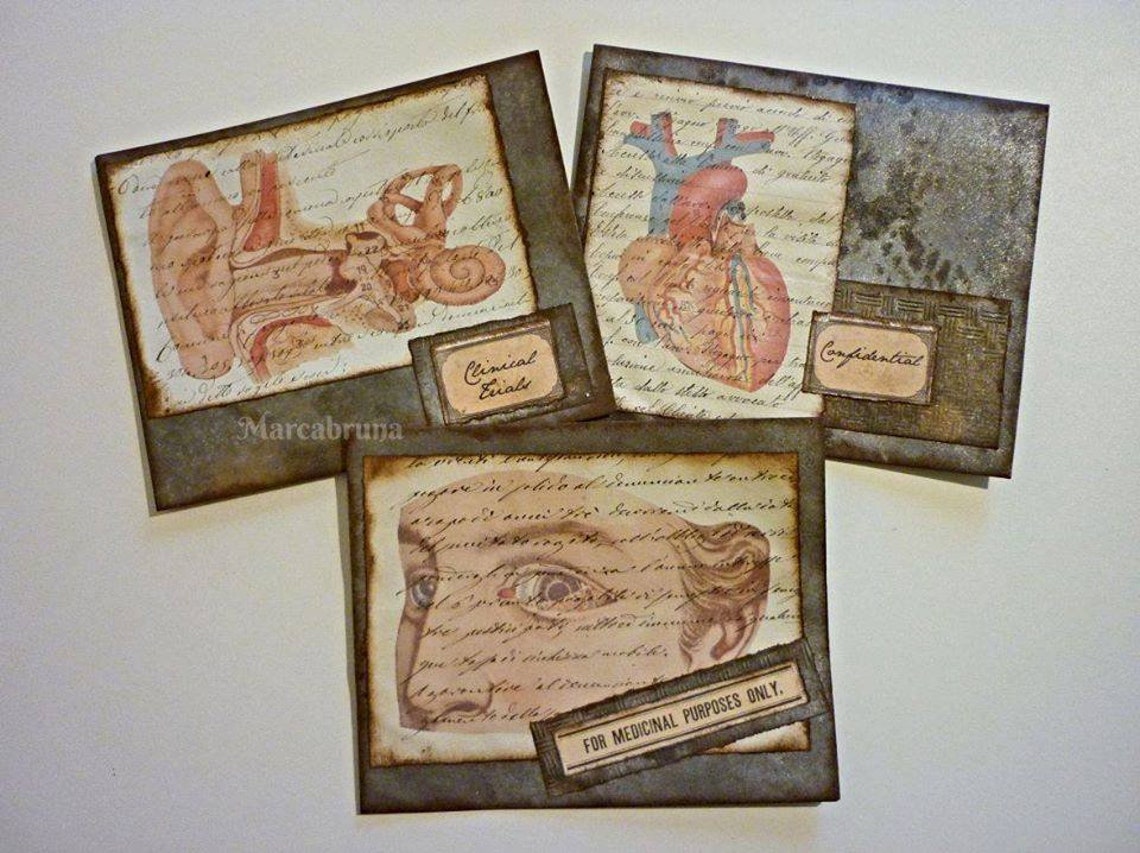 Digital HUMAN ANATOMY Collage Sheet Printable Anatomy | Etsy