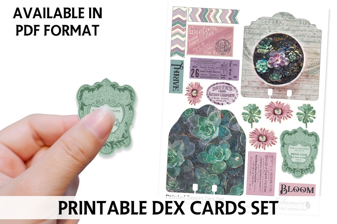 Digital Printable Dex Cards Printable Crafts Succulents - Etsy