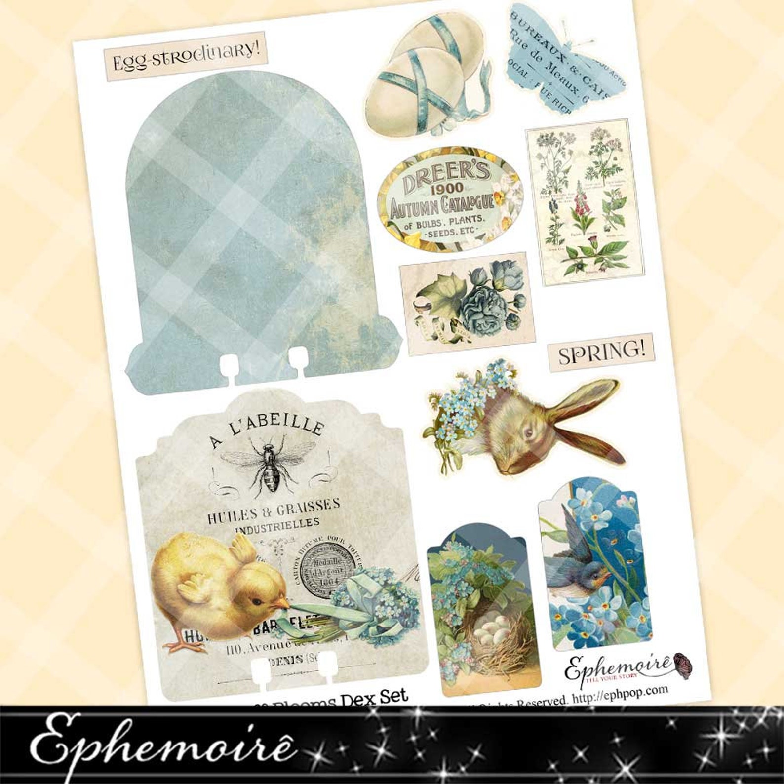 Printable DEX Cards With Ephemera Easter Dex Card Dex Card | Etsy