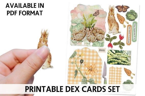 Digital Printable Dex Cards Printable DEX CARD Peter - Etsy