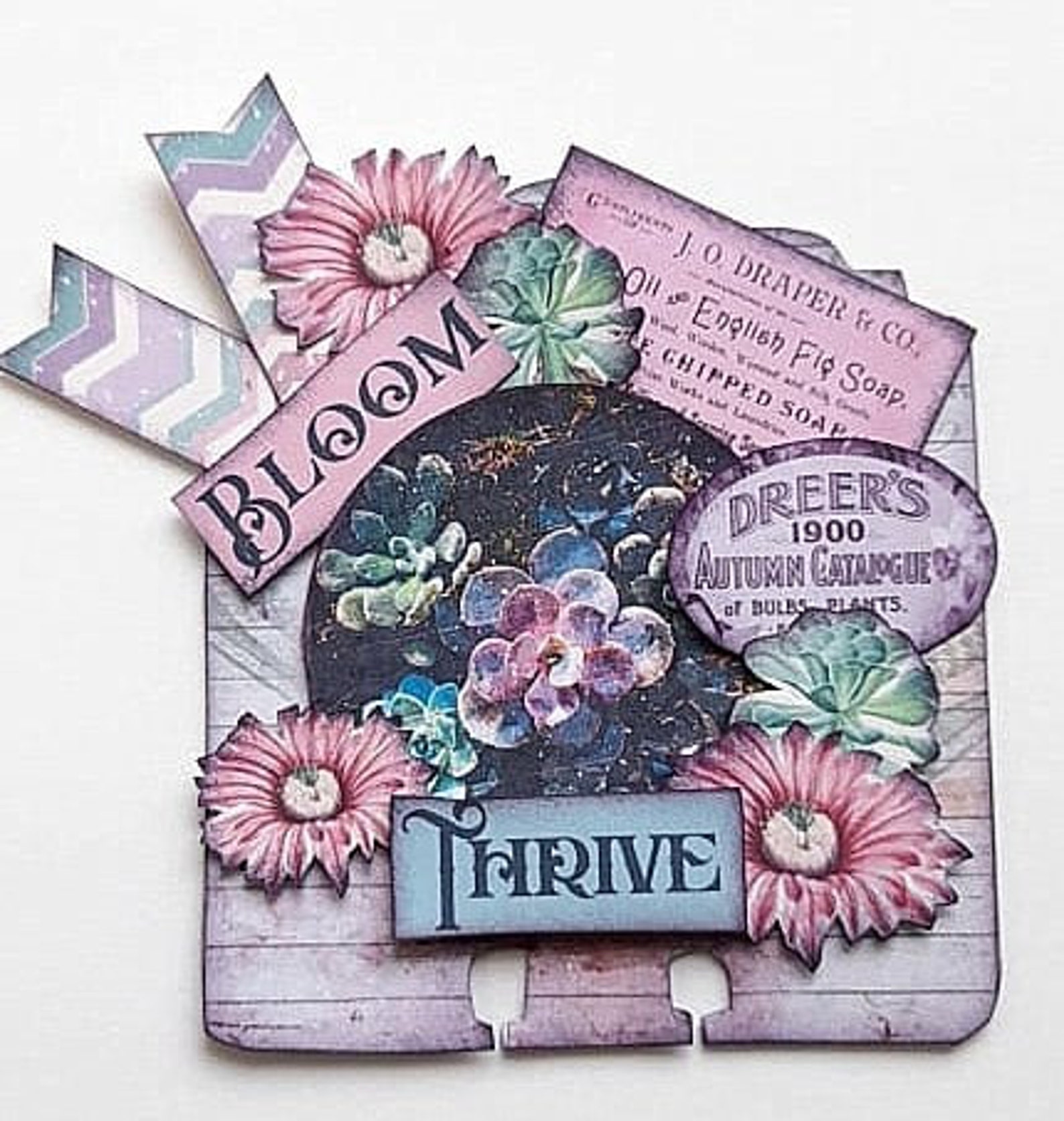 Digital Printable Dex Cards Printable Crafts Succulents - Etsy