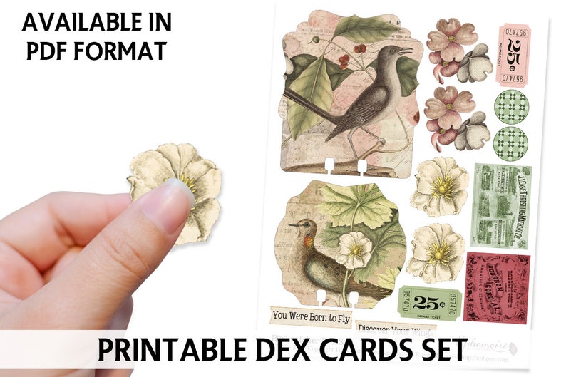 Printable DEX Cards With Ephemera Watercolor Birds Dex - Etsy