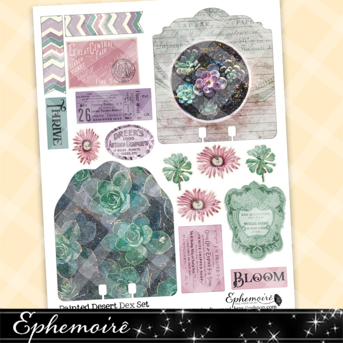 Digital Printable Dex Cards Printable Crafts Succulents - Etsy
