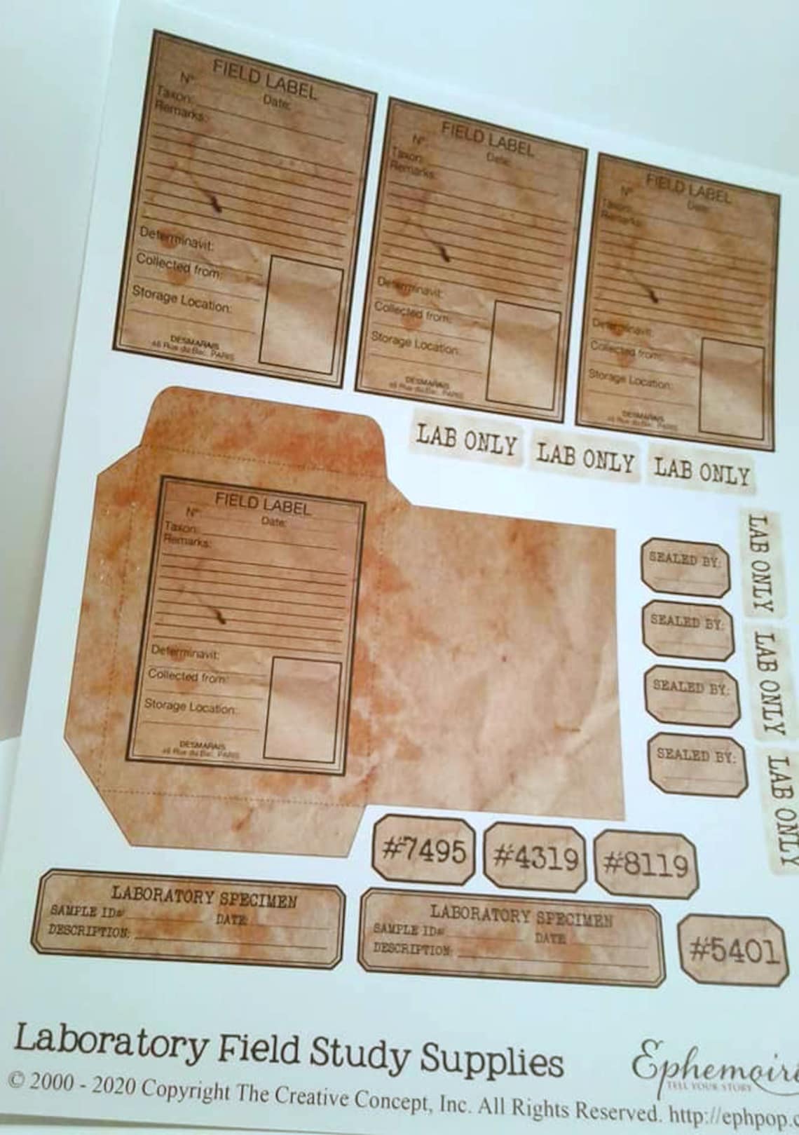 Junk Journal Printable LABORATORY SPECIMEN Entomology - Etsy