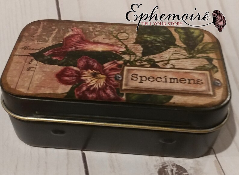 BOTANICAL Specimen Slides Altoid Tin Craft Kit Natural - Etsy