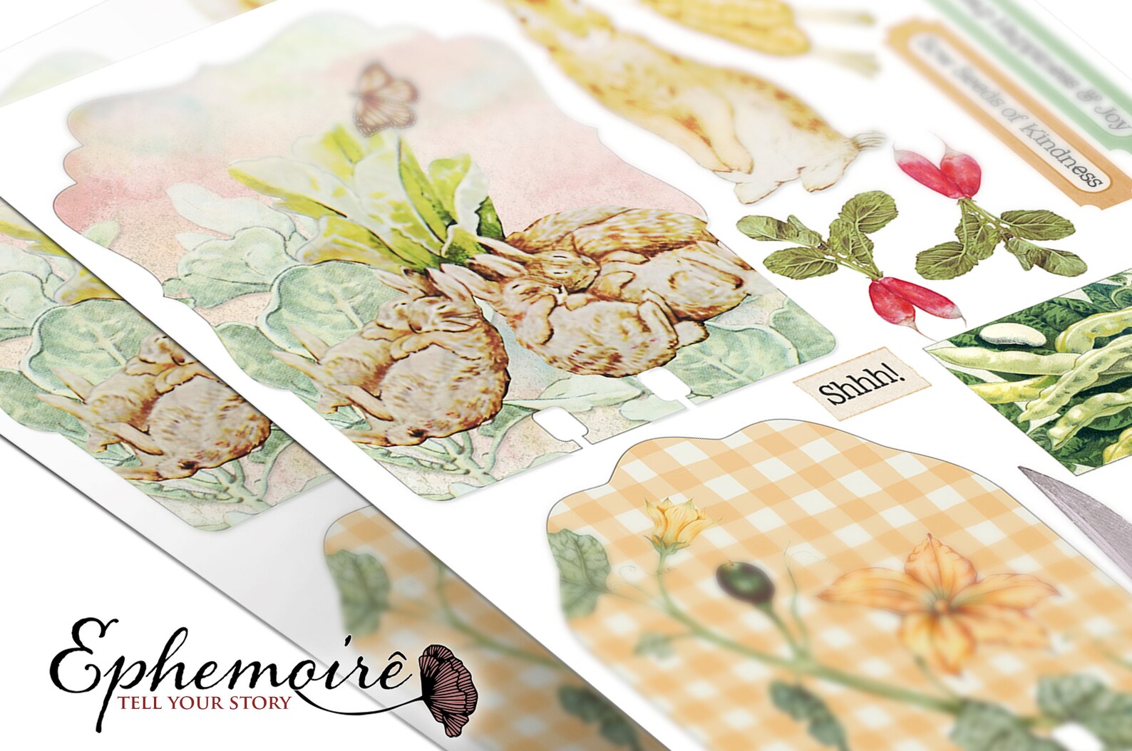 Digital Printable Dex Cards Printable DEX CARD Peter - Etsy