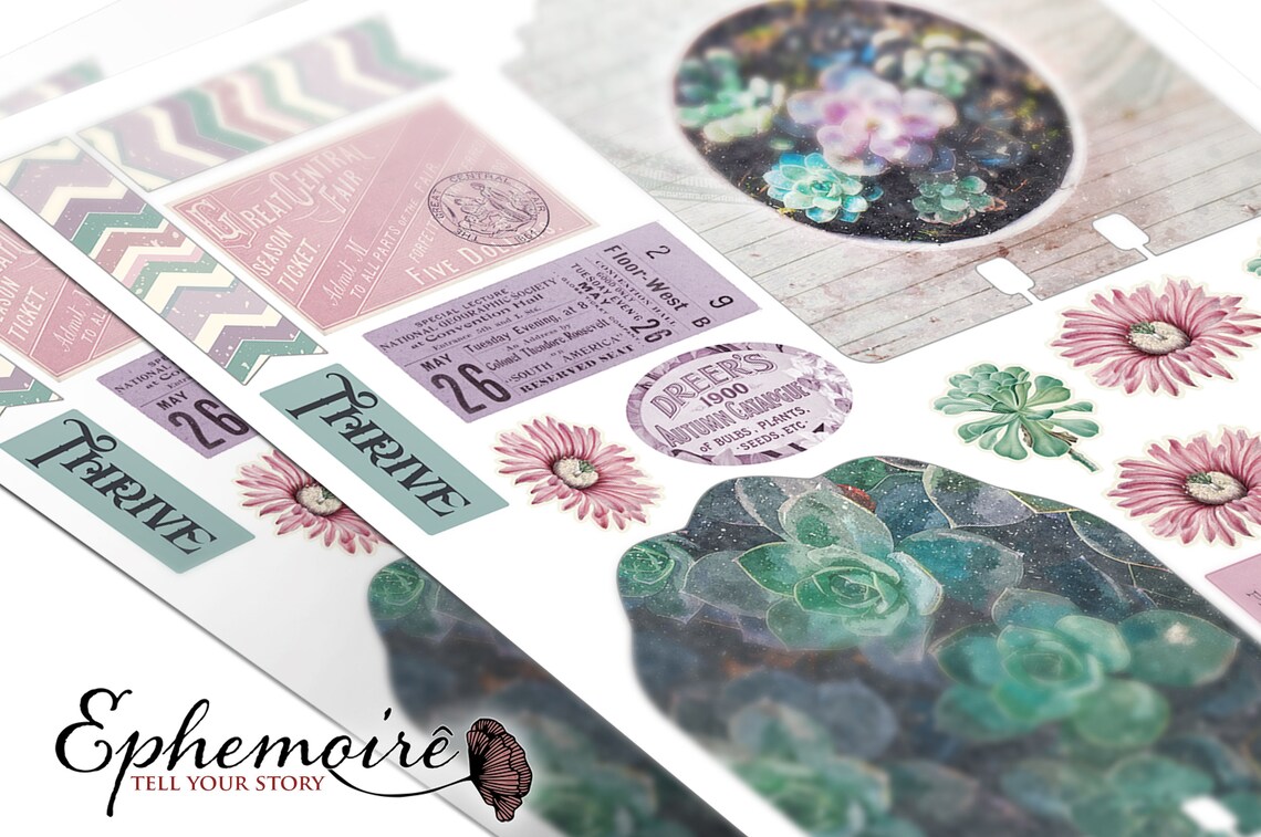 Digital Printable Dex Cards Printable Crafts Succulents - Etsy