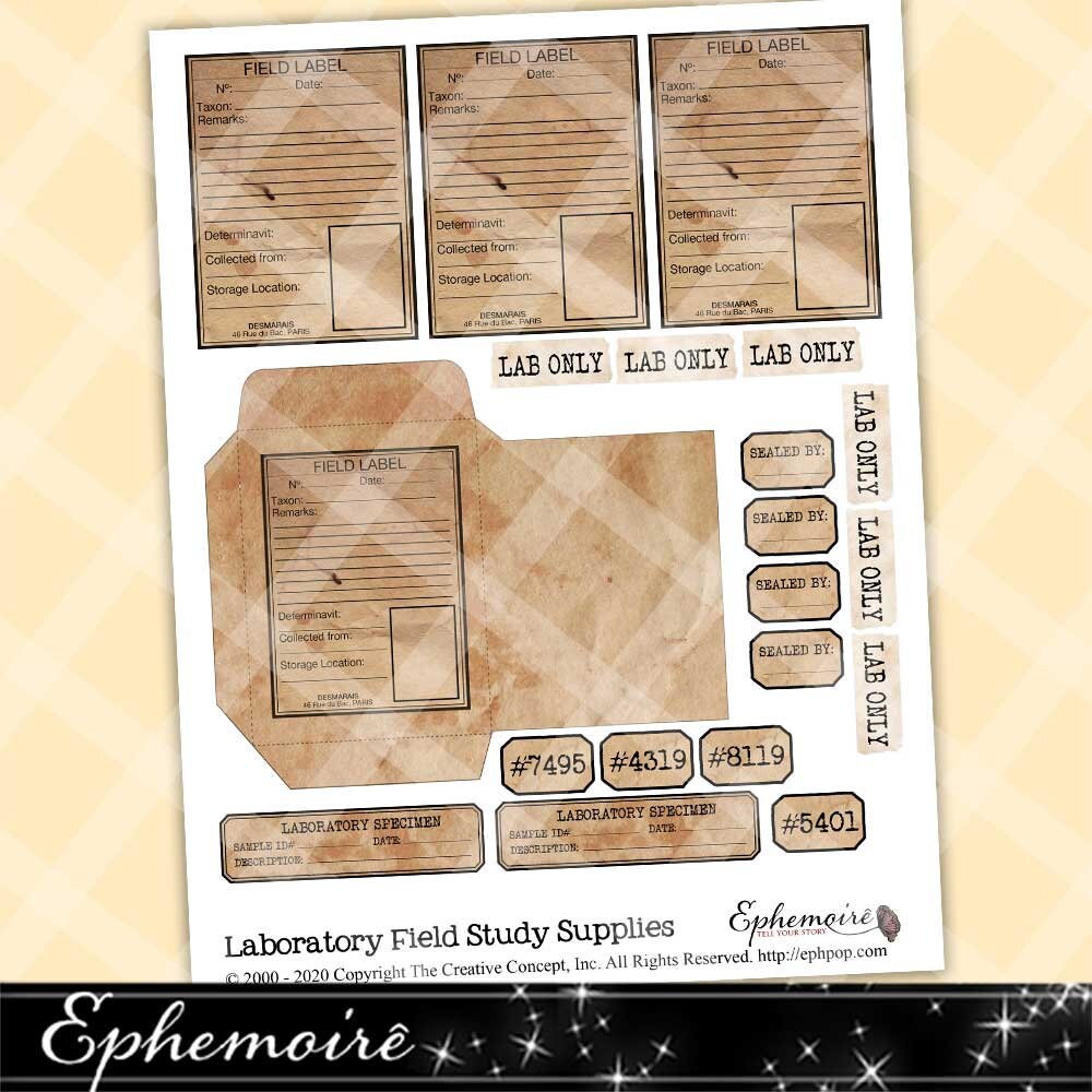 Junk Journal Printable LABORATORY SPECIMEN Entomology - Etsy