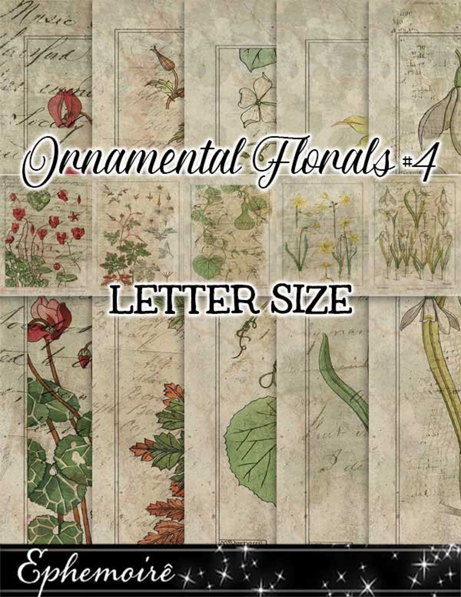 Digital Paper Pack Botanical Printable Papers Digital | Etsy