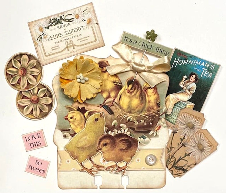 Printable DEX Cards with Ephemera CHICKS and DAISIES Dex | Etsy
