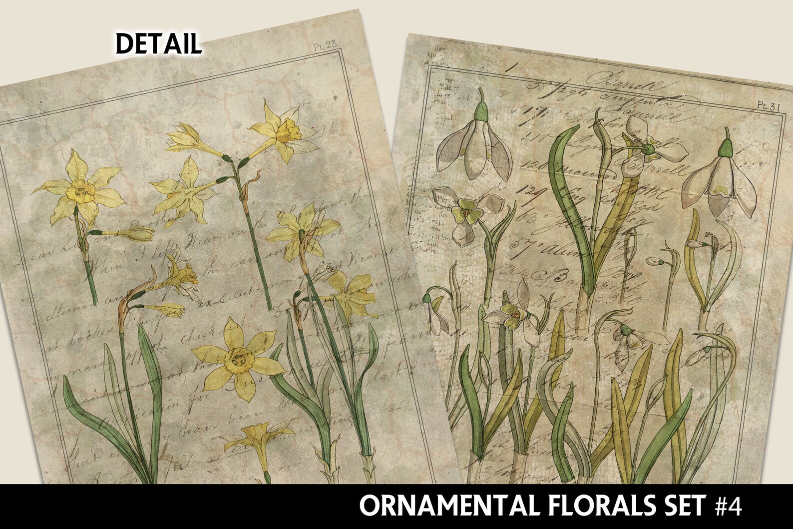 Digital Paper Pack Botanical Printable Papers Digital - Etsy