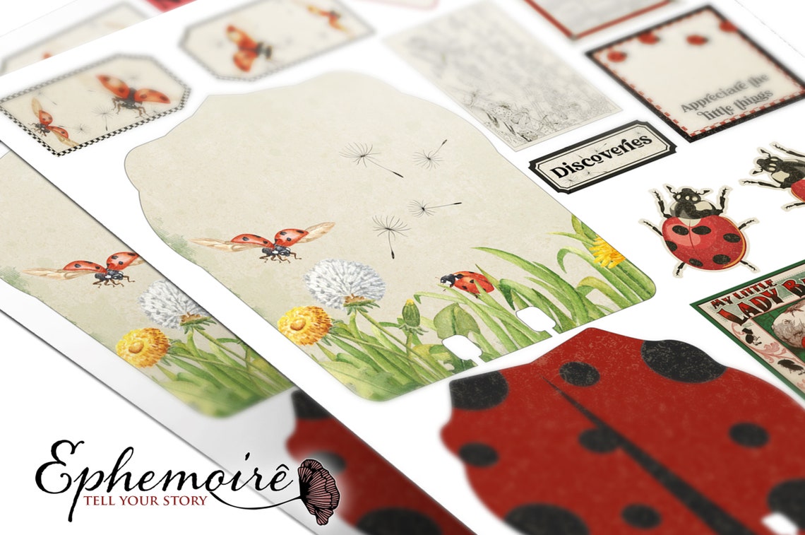 Printable Dex Cards With Ephemera - LADYBUG - Dex Card Printable ...