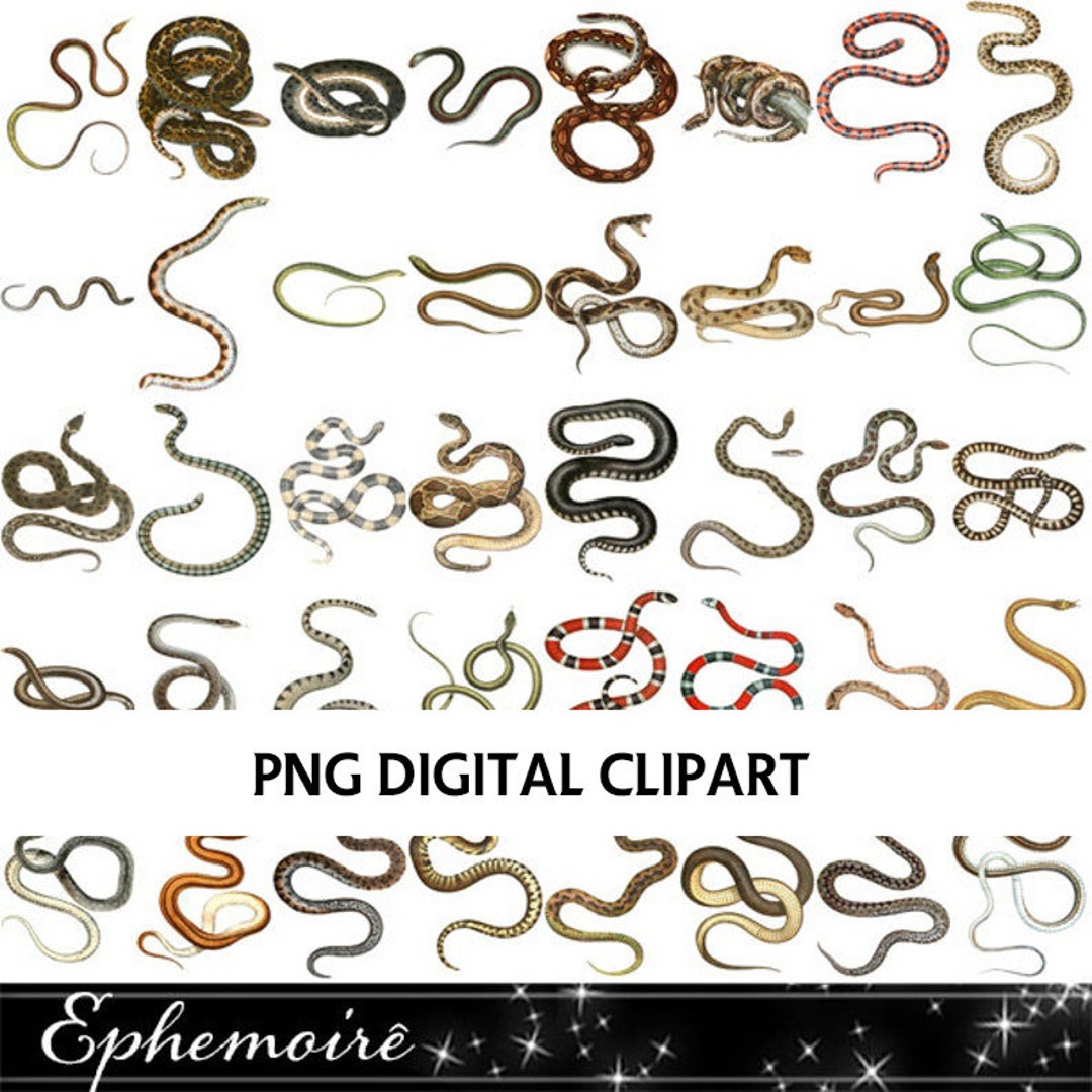 Digital SNAKES Clipart - Halloween Clipart Set - Digital Scrapbooking ...