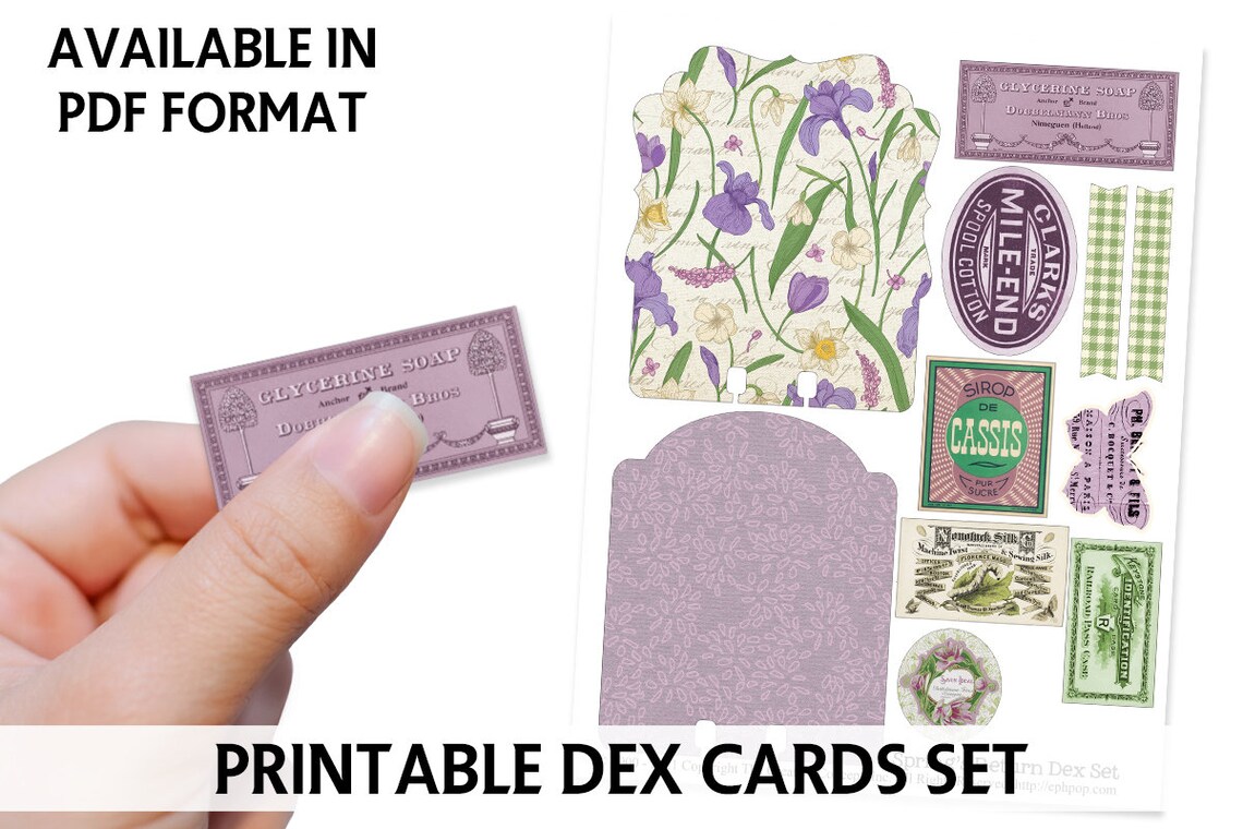 Printable DEX Cards With Ephemera Spring Bulb Dex Dex Card - Etsy
