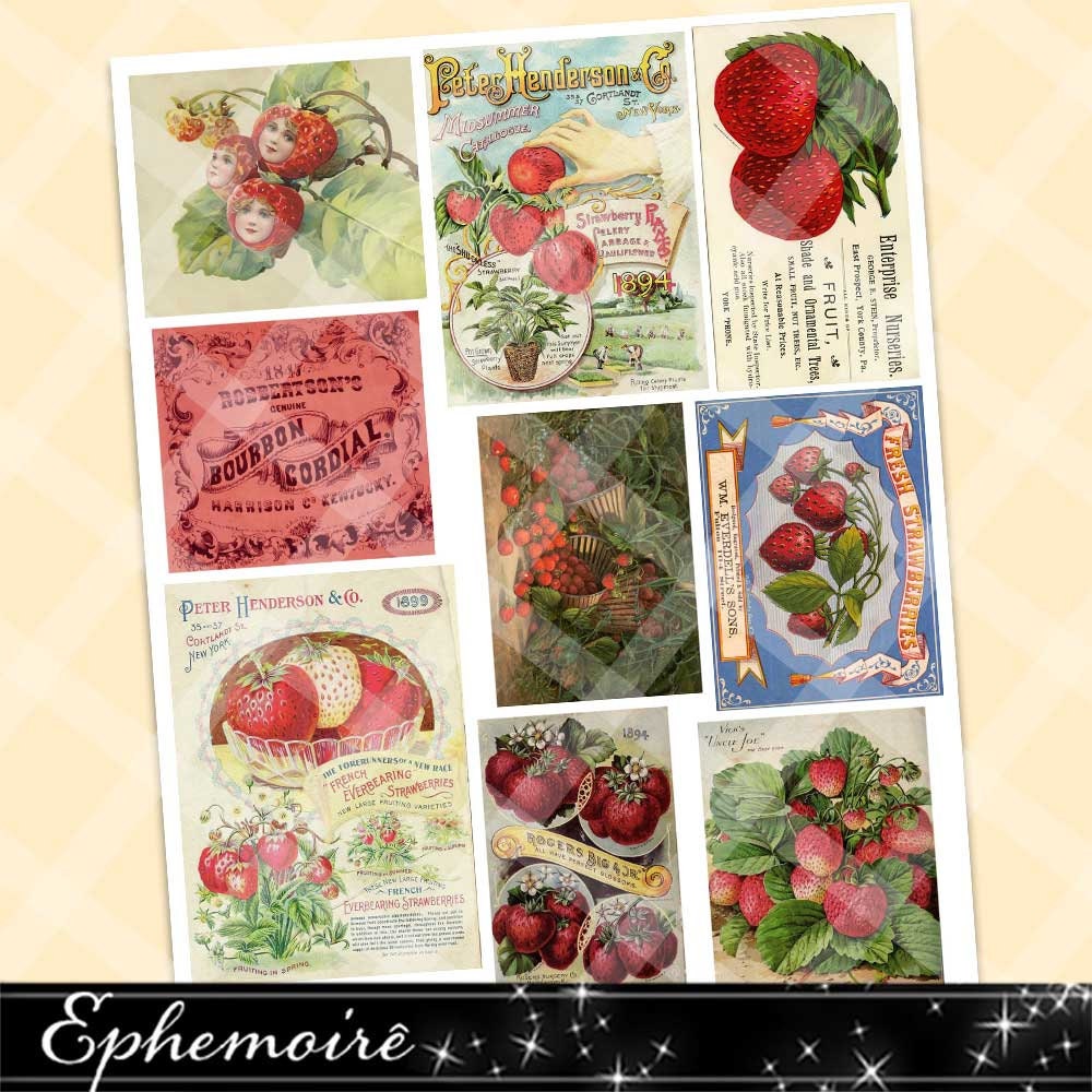 Junk Journal Printable Ephemera Strawberry Ephemera | Etsy