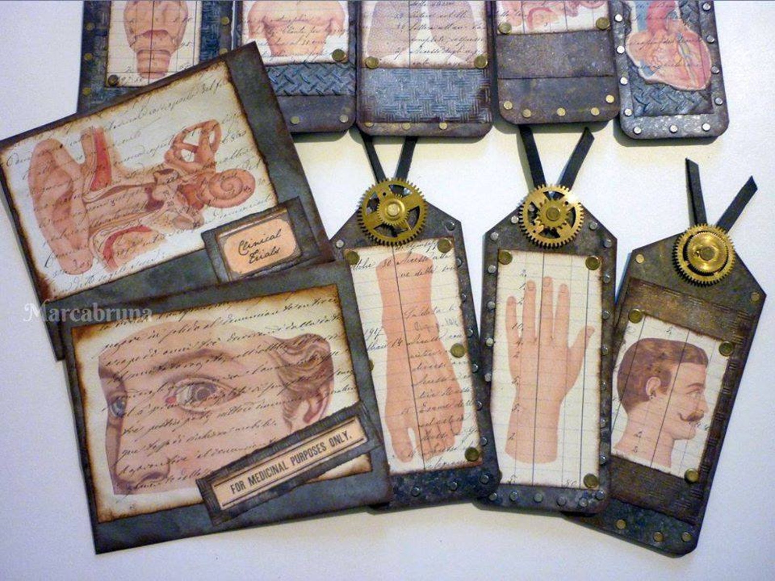 Digital HUMAN ANATOMY Collage Sheet Printable Anatomy | Etsy