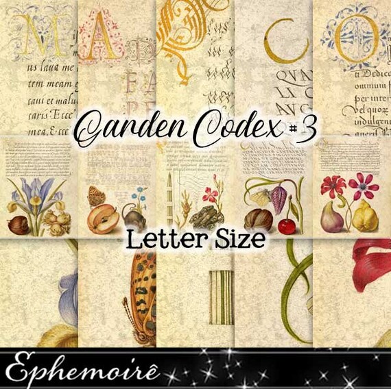 Digital Printable Paper Botanical Calligraphy Digital | Etsy