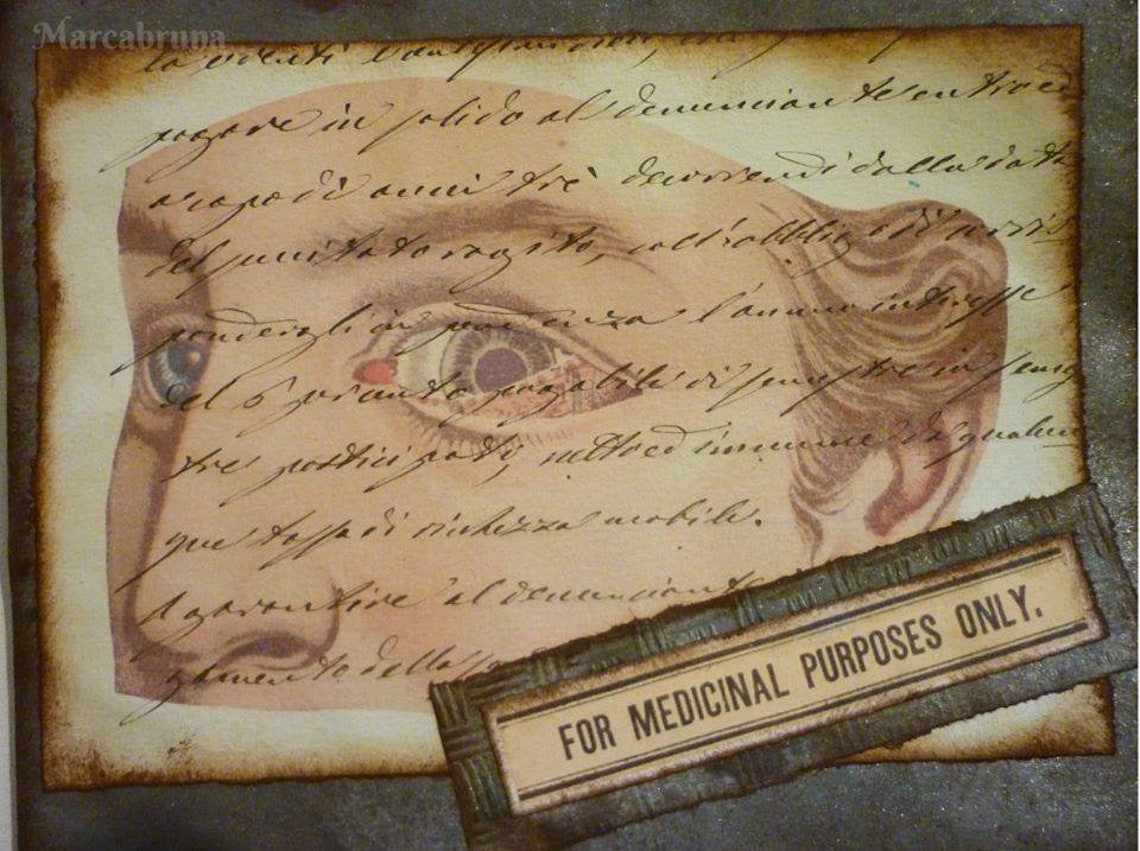 Digital HUMAN ANATOMY Collage Sheet Printable Anatomy | Etsy