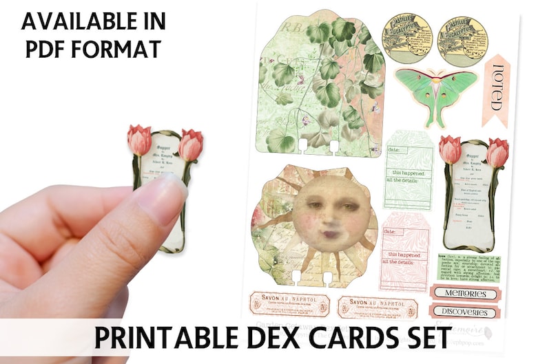 Printable DEX Card Shabby Chic Spring Floral Dex Card - Etsy