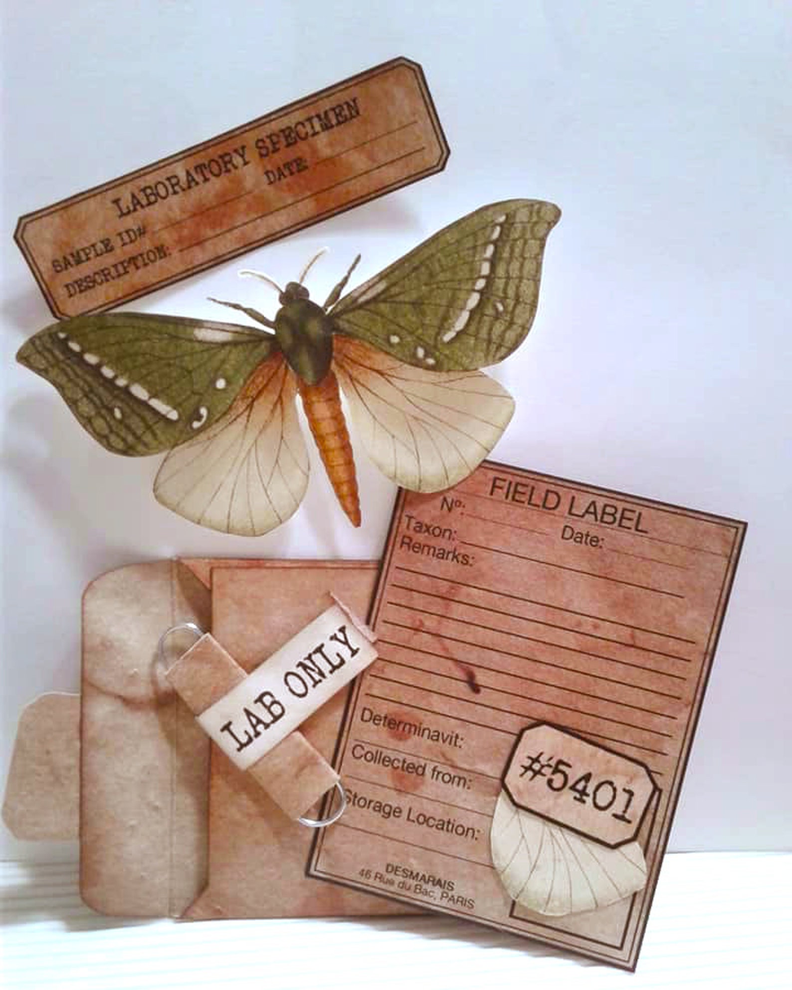 Junk Journal Printable LABORATORY SPECIMEN Entomology - Etsy