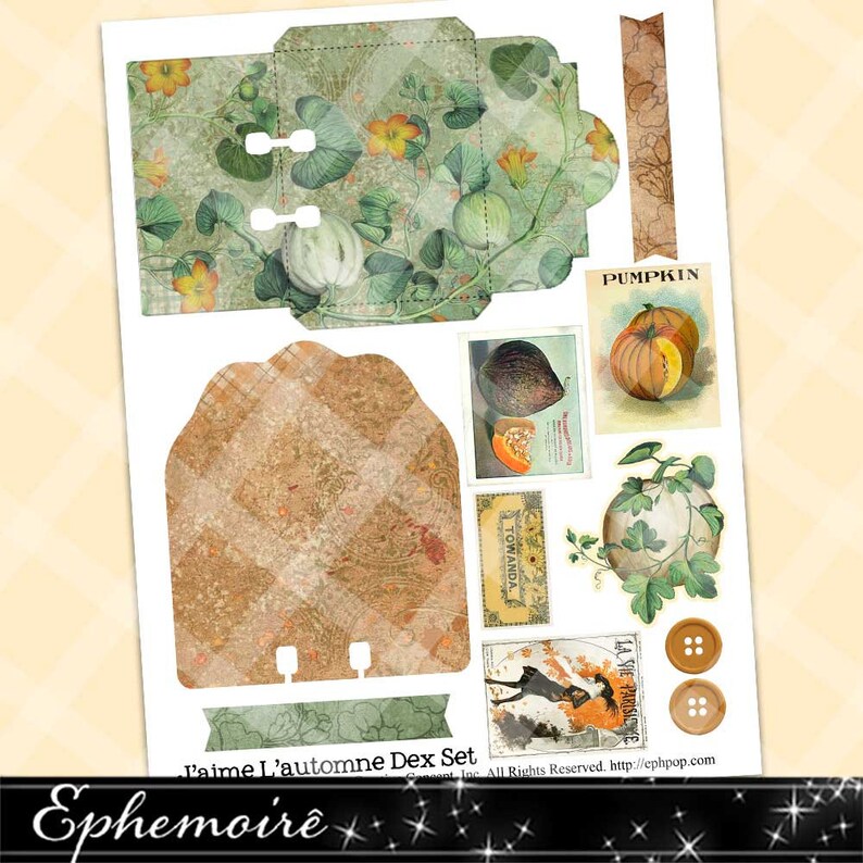 Printable DEX Cards With Ephemera Pumpkin Dex Card Dex | Etsy