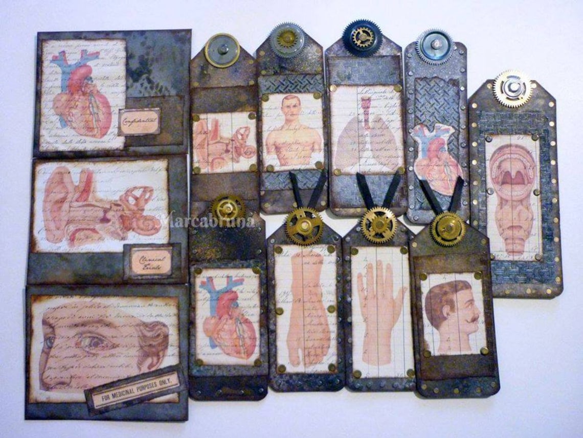 Digital HUMAN ANATOMY Collage Sheet Printable Anatomy - Etsy