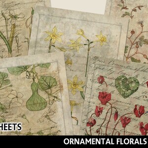 Digital Paper Pack Botanical Printable Papers Digital Scrapbook ...