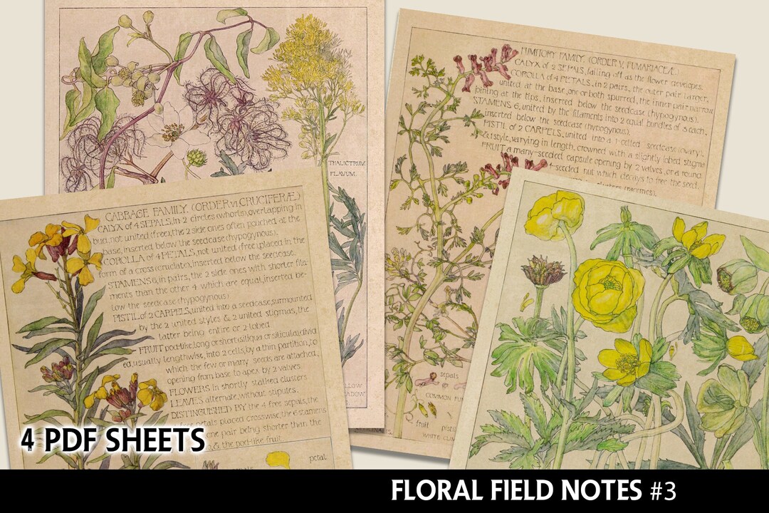 Digital Paper Pack - Botanical Printable Papers - Digital Scrapbook ...