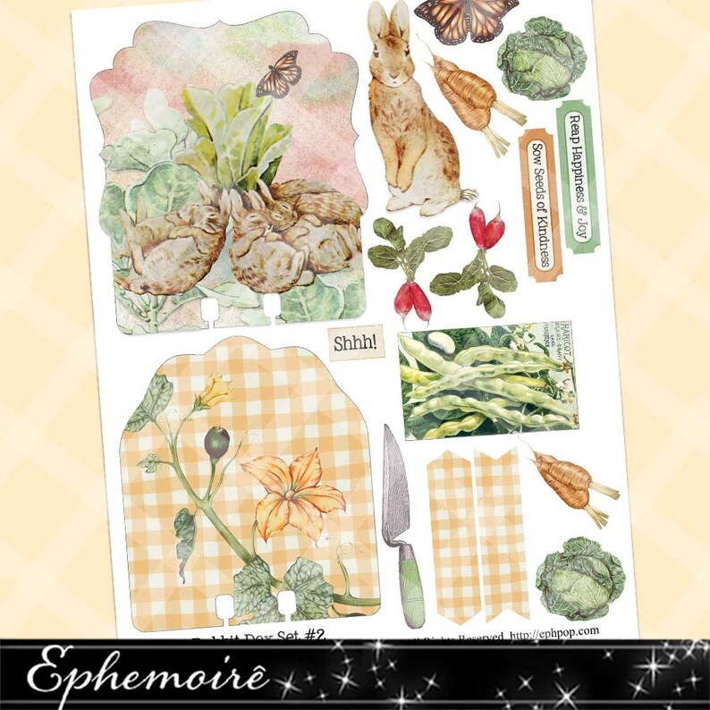 Digital Printable Dex Cards Printable DEX CARD Peter | Etsy