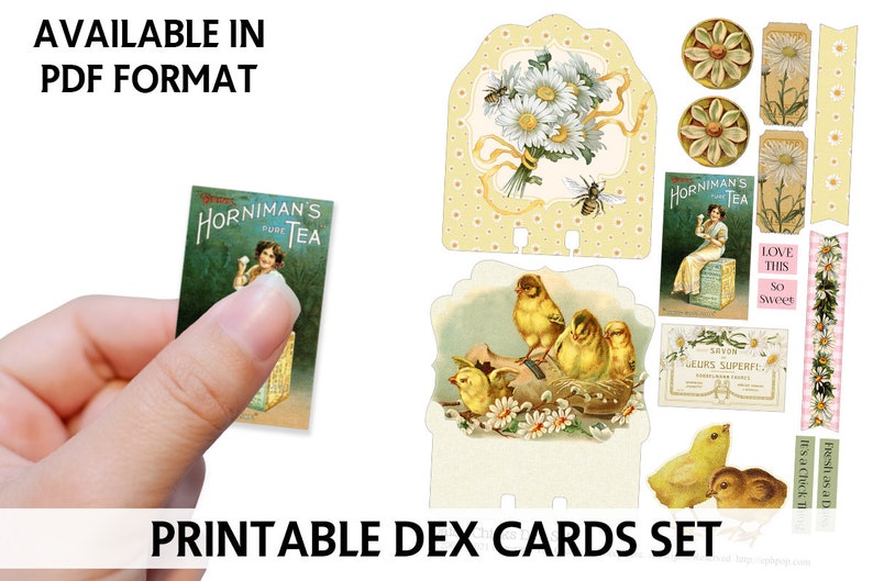Printable DEX Cards With Ephemera CHICKS and DAISIES Dex - Etsy
