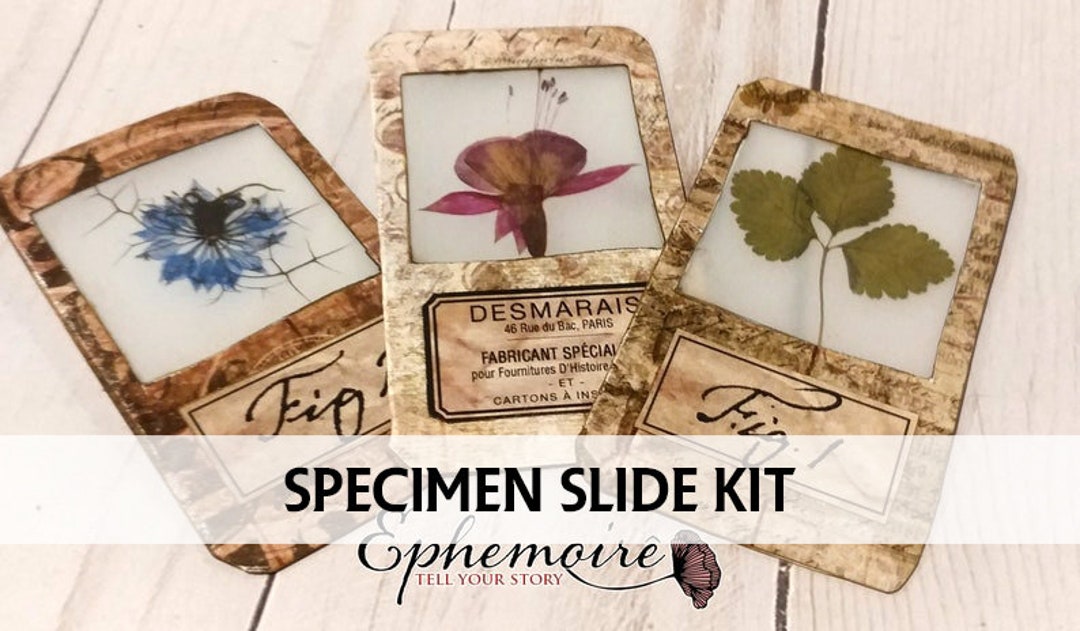 BOTANICAL Specimen Slides - Altoid Tin Craft Kit - Natural History ...