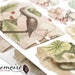 Printable DEX Cards With Ephemera Watercolor Birds Dex - Etsy