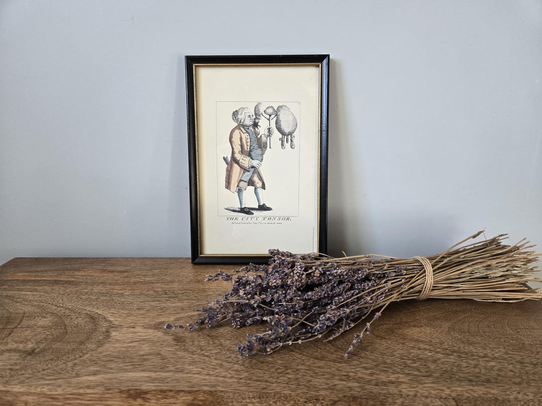 Vintage Mathew Darly Framed Print ~ the Town Tonsor Wig Maker 1777 ...