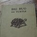 Vintage Children's Book, Big Bug the Turtle, Signed by Author, First ...