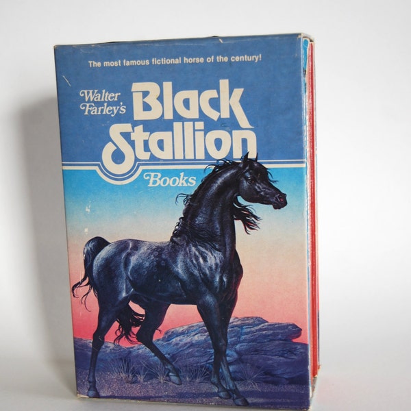 The Black Stallion - Etsy