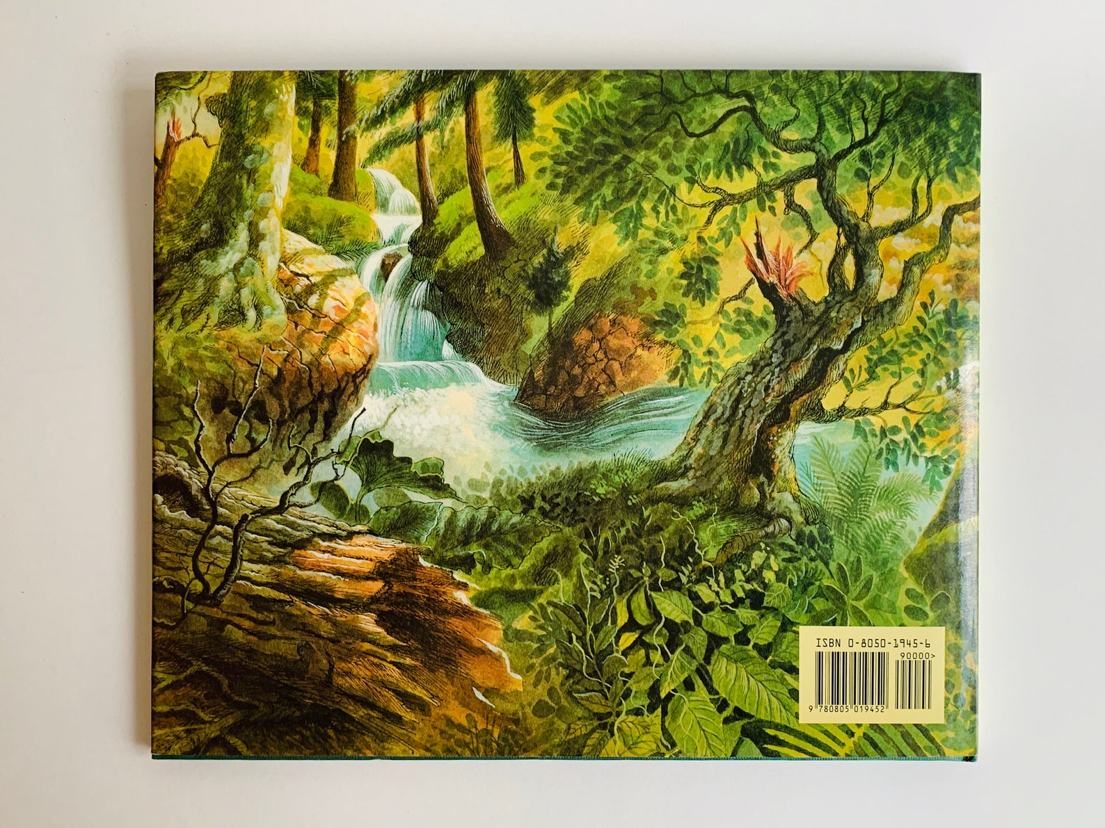 Vintage Children's Book the Cataract of Lodore - Etsy