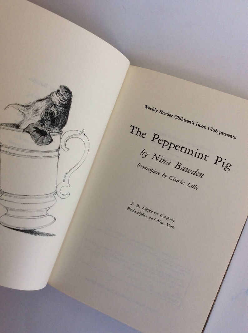 Vintage Children's Book The Peppermint Pig | Etsy