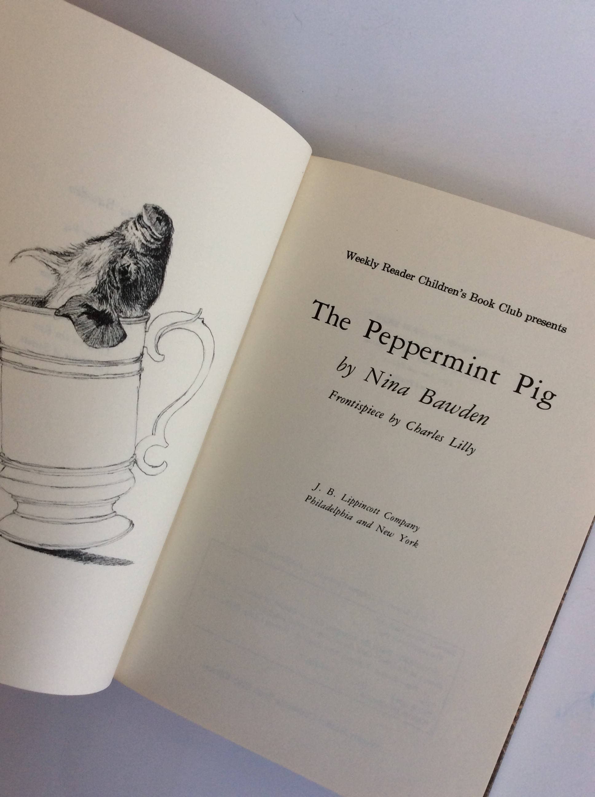 Vintage Children's Book The Peppermint Pig | Etsy