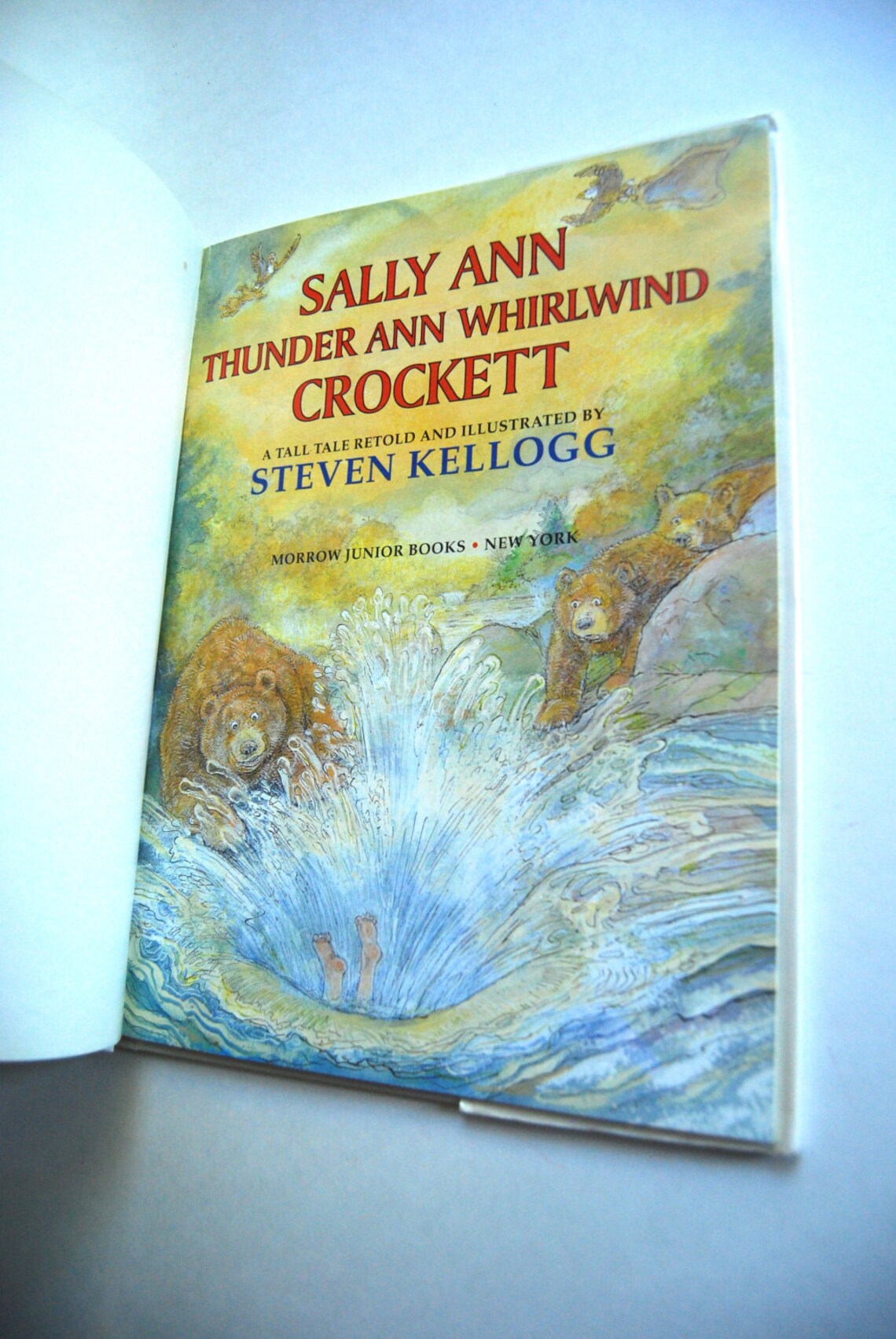 Vintage Children's Book Sally Ann Thunder Ann Whirlwind - Etsy