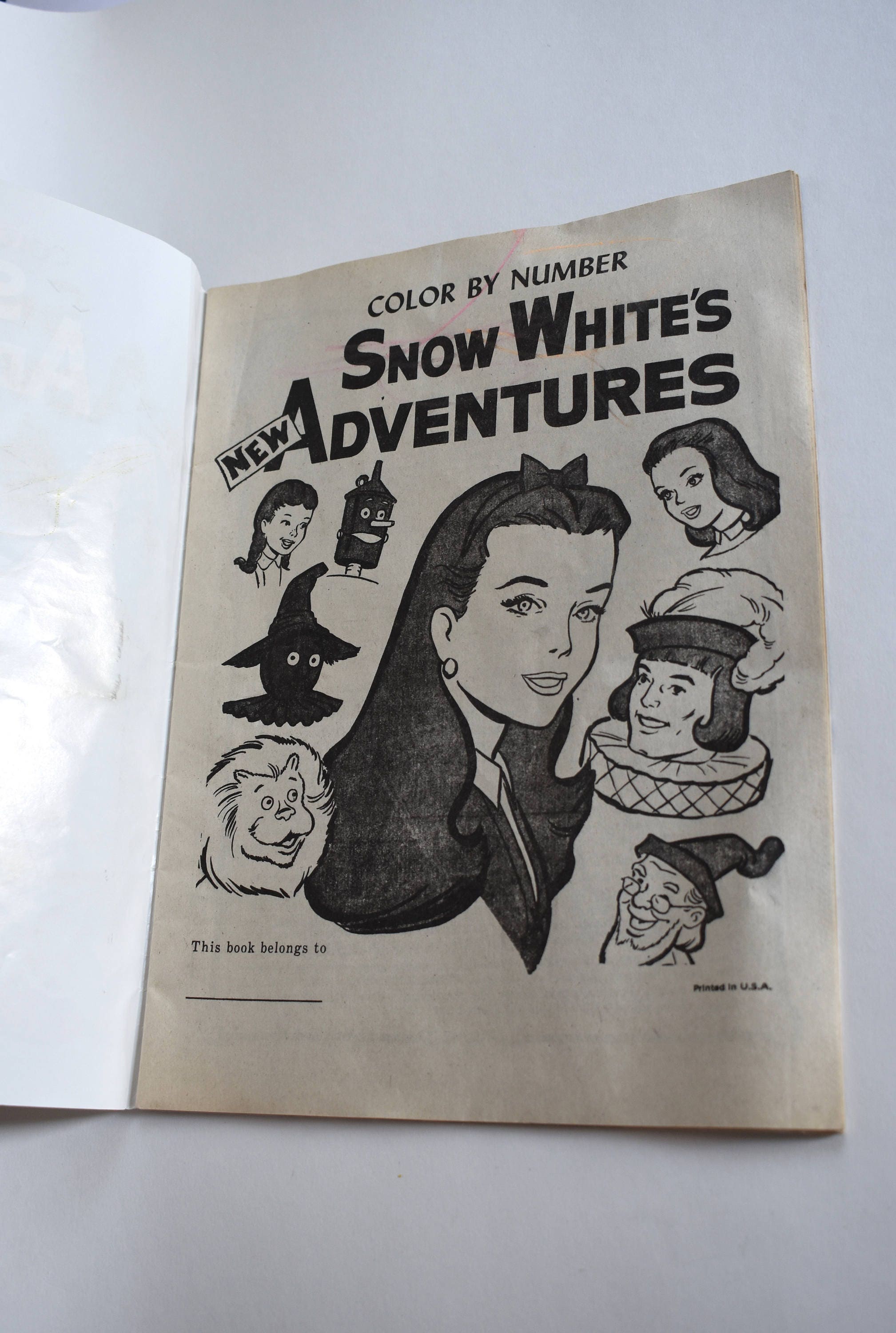 Vintage Color by Number Snow White's Adventure Coloring | Etsy