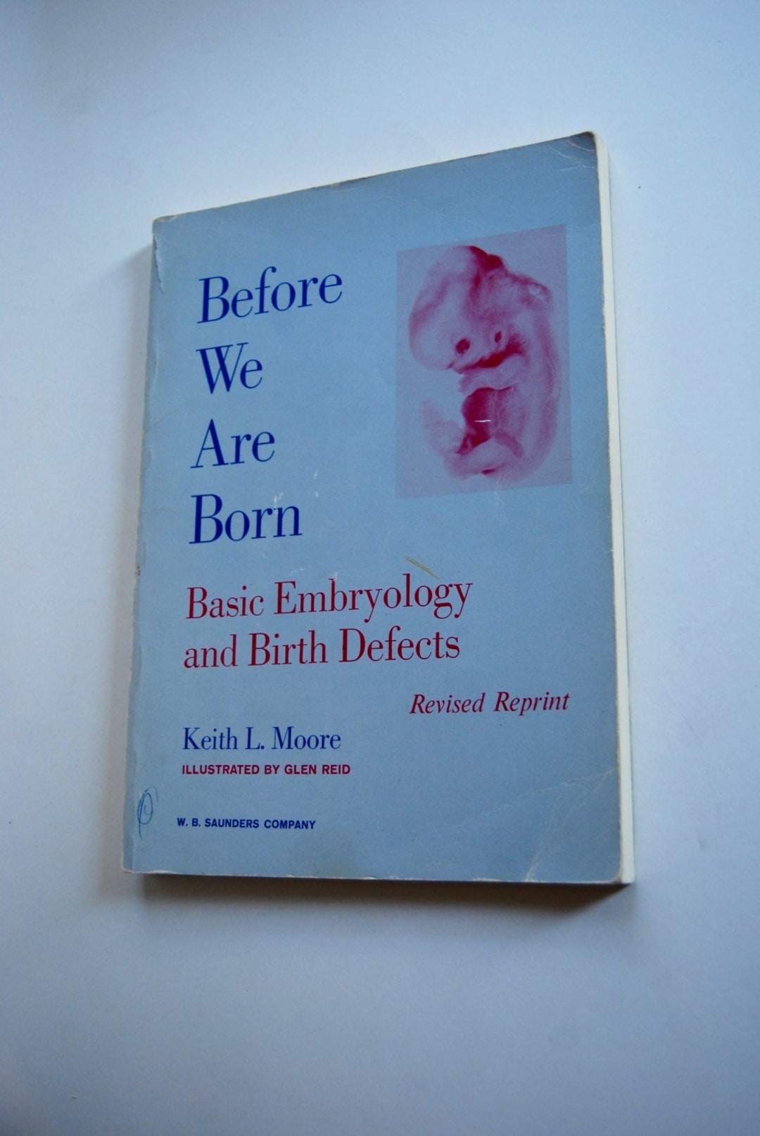 Vintage Book, Before We Are Born - Etsy