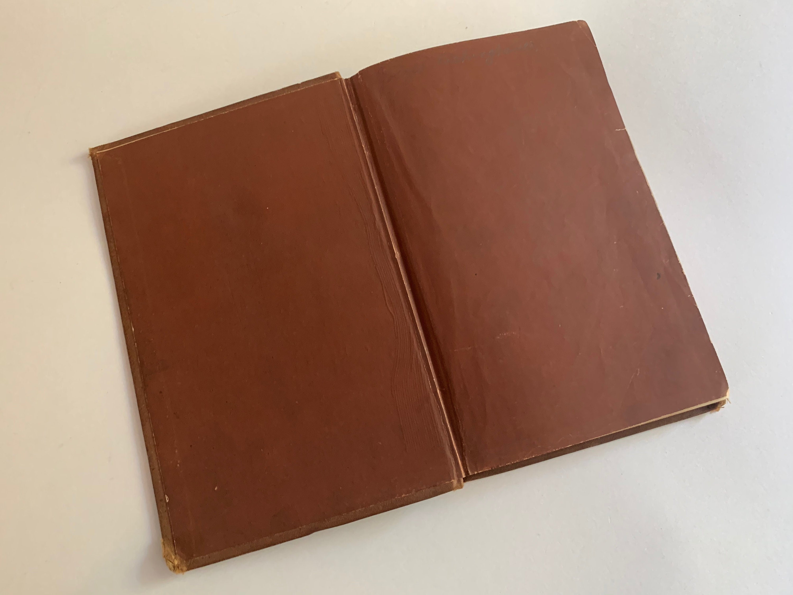 Antique Book Papst Pius IX In German 1877 | Etsy