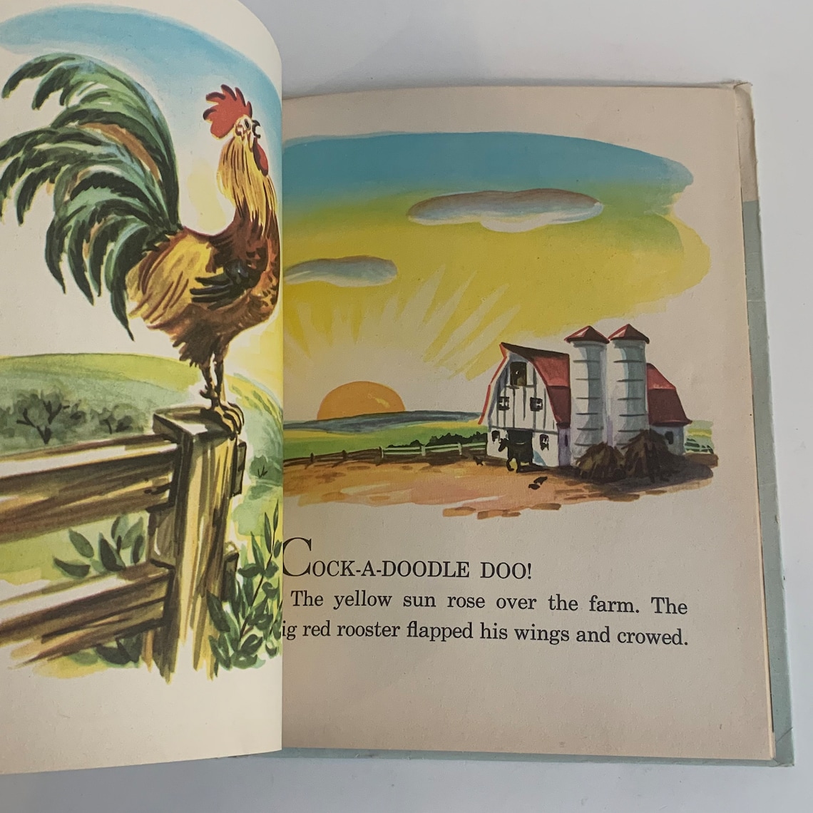 Vintage Children's Book A Day on the Farm - Etsy
