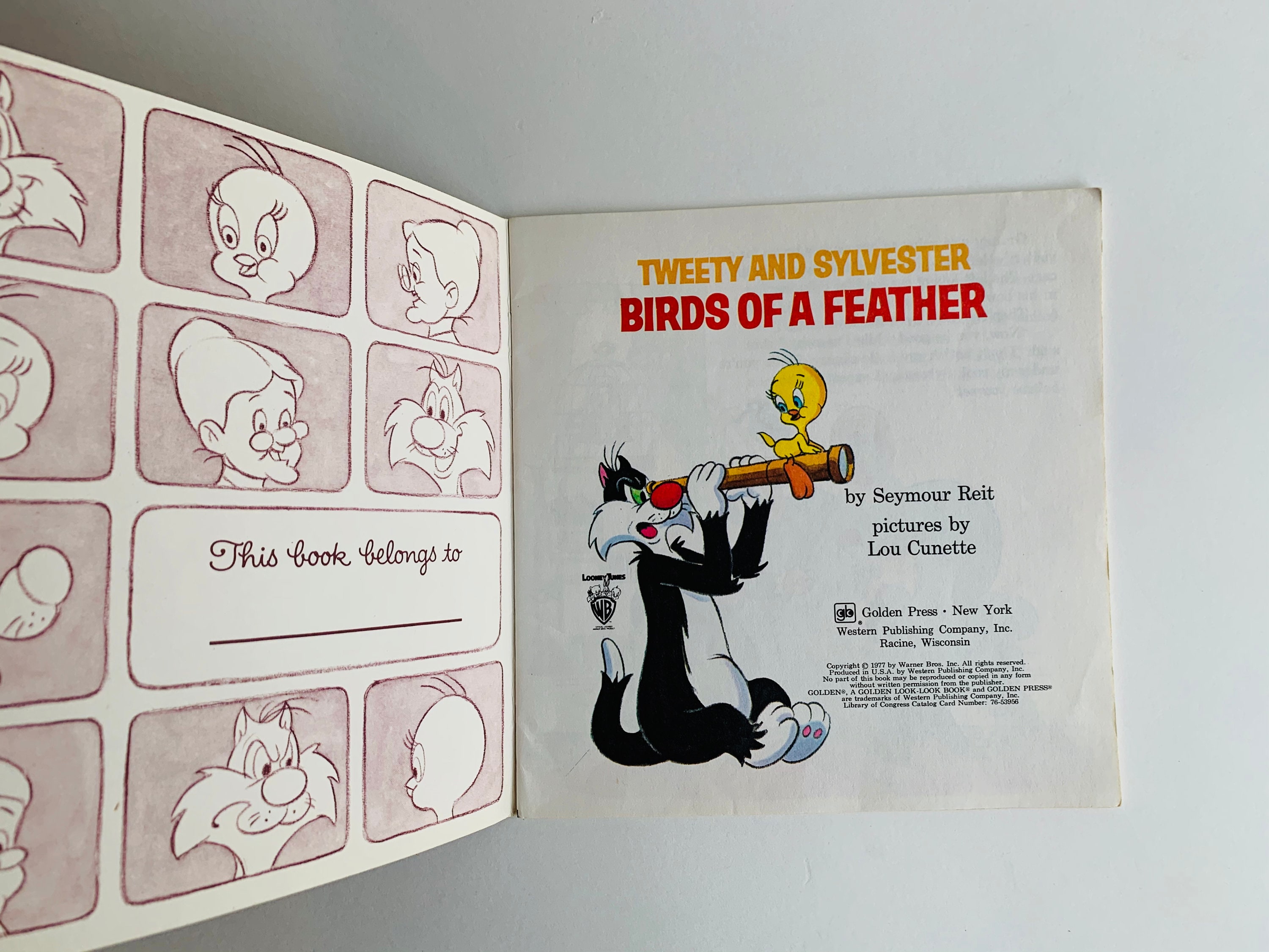 Vintage Children's Book, Tweety and Sylvester Birds of a Feather - Etsy