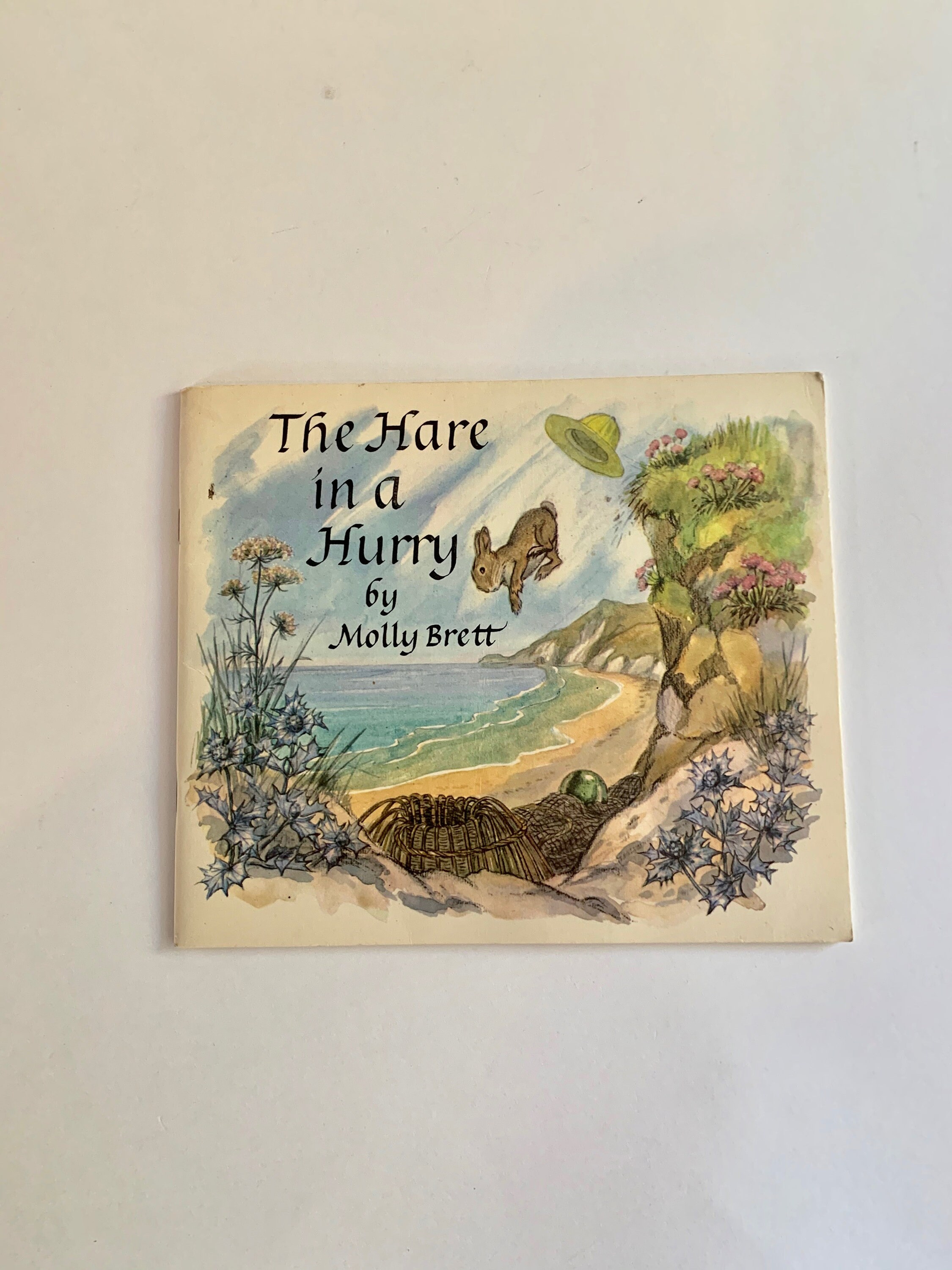 Vintage Children's Book The Hare in a Hurry | Etsy