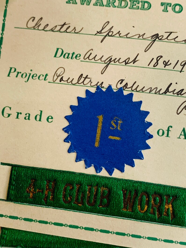 Vintage 4H Ribbons, Russell County Achievement Fair - Etsy